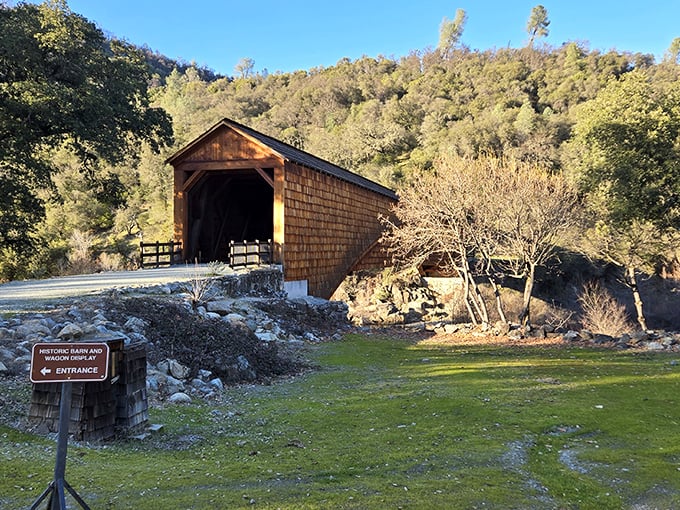 Spring brings the bridge to life with golden sunshine and fresh greenery—Mother Nature's way of highlighting historic craftsmanship.