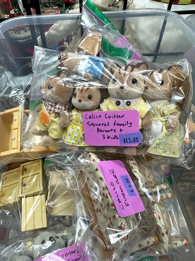 The Calico Critter family waits patiently in their plastic home – tiny fuzzy nostalgia that proves everything old becomes collectible again eventually.