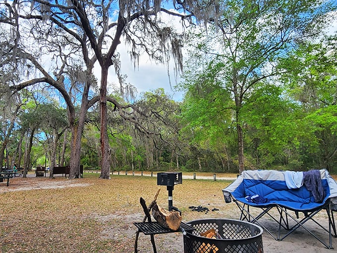 Camping under Spanish moss with a fire crackling nearby – better than any five-star hotel room. Nature's ultimate unplugged experience.