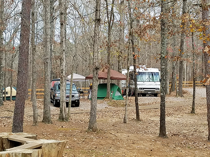 Camping at Big Hill Pond—where your backyard temporarily includes thousands of acres of wilderness and a million-star hotel overhead.
