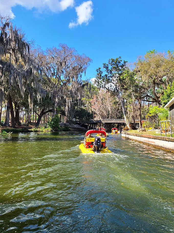 CatBoat Adventures lets you play captain for the day, zipping through cypress-lined waterways where alligators sunbathe like prehistoric celebrities.