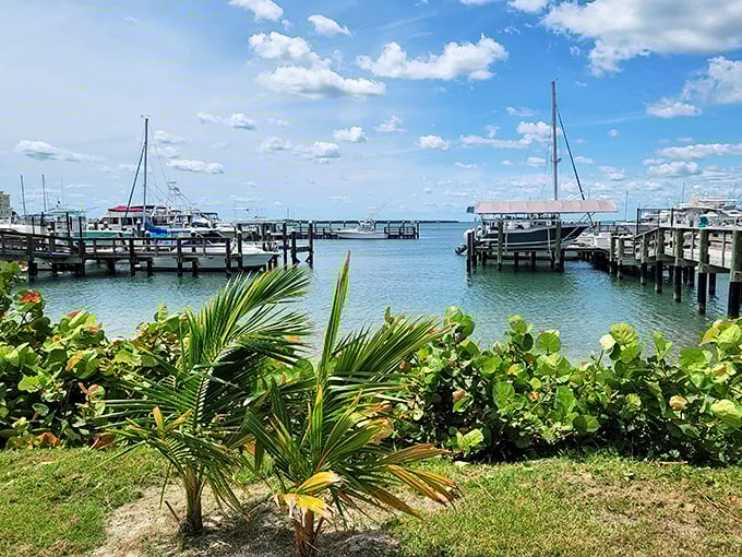 The marina view frames boats and blue water with tropical foliage – nature's perfect window dressing for a scene straight from a travel daydream.