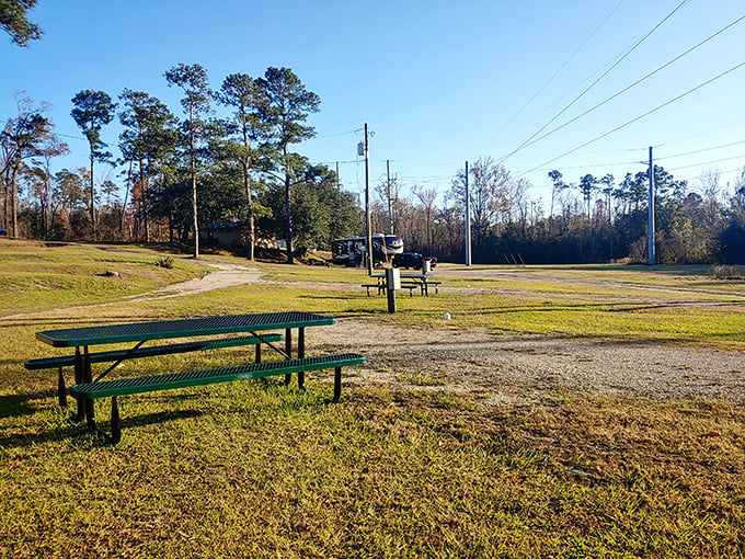 Simple pleasures define Chattahoochee – picnic tables under towering pines offer dining with a view that five-star restaurants can't match