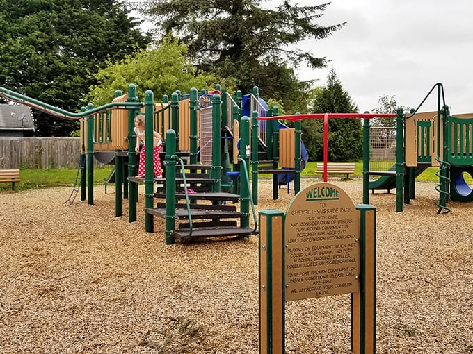 This playground looks like it was designed by someone who actually remembers what it's like to be a kid. Imagination included, batteries not required.