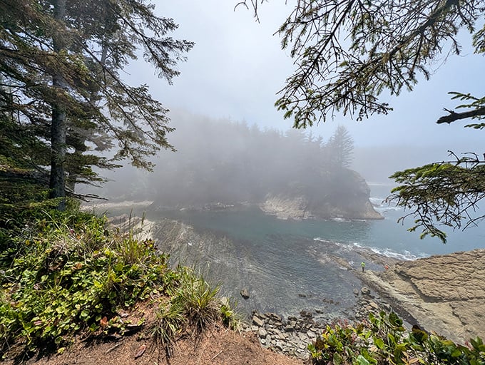 Coastal fog playing hide-and-seek with the headlands – nature's version of a mysterious opening scene in a moody detective show.