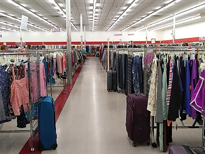Ladies' clothing arranged with military precision. The thrift store equivalent of parting the Red Sea – a miracle of organization.