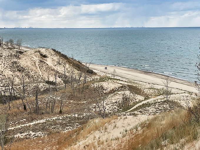 From this dune-top vantage point, you can almost hear the lake whispering, "Yes, Indiana has beaches. Surprise!"