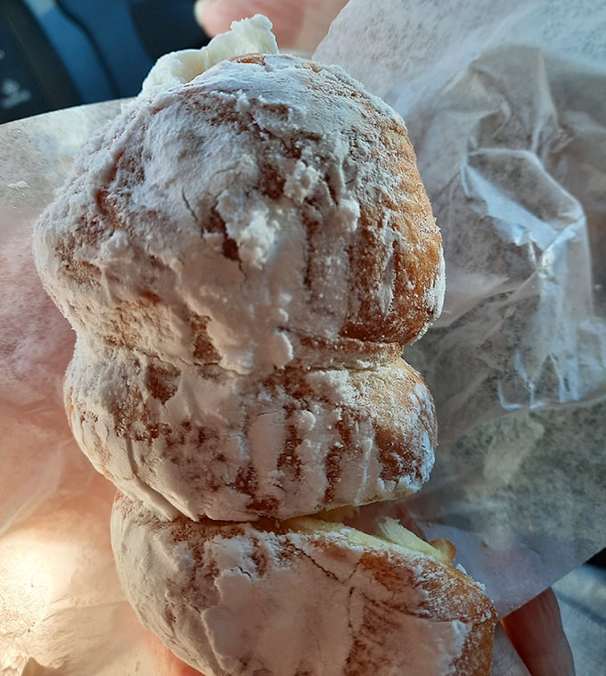 A donut artist's handiwork on display – each powdered creation looking like it belongs in the Louvre of breakfast pastries.