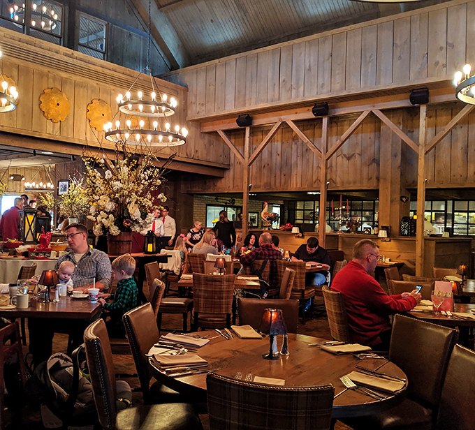 The dining room buzzes with the universal language of good food—nodding heads, pointing fingers, and the occasional "you've got to try this."