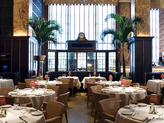 The dining room feels like it was designed by someone who understood that great meals are equal parts food and theater.