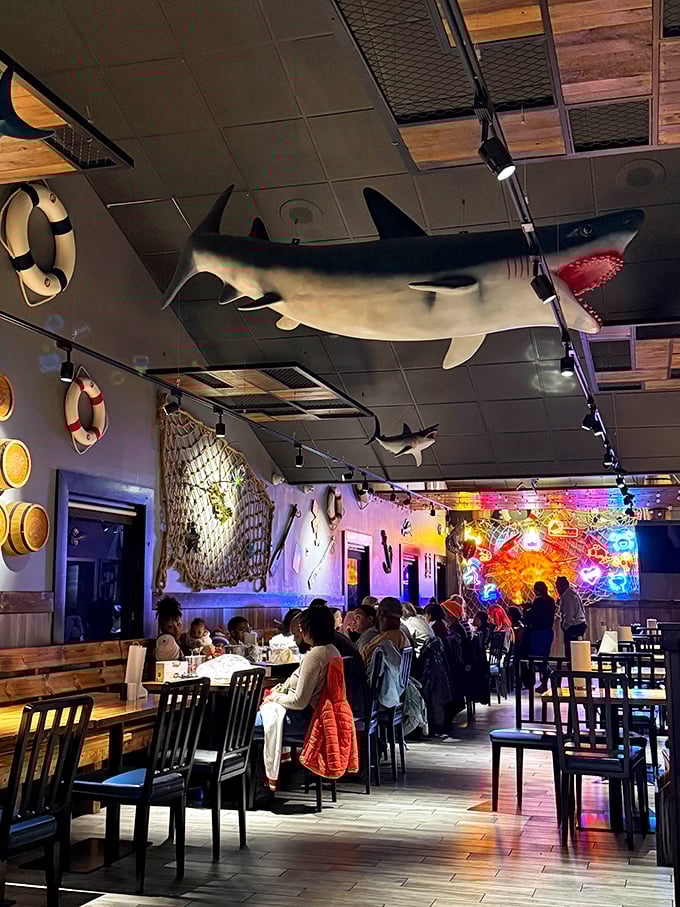 The shark overhead isn't the only predator here—diners attack their seafood feasts with equal parts enthusiasm and strategic planning.