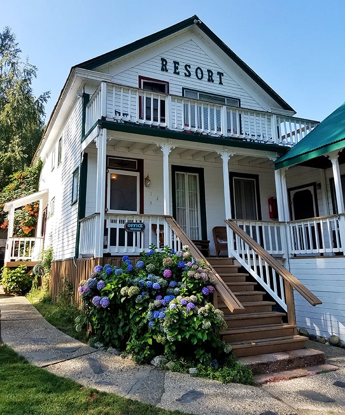 The Downieville River Inn & Resort's hydrangeas might be the most photographed flowers in town – nature's own welcome committee for weary travelers.