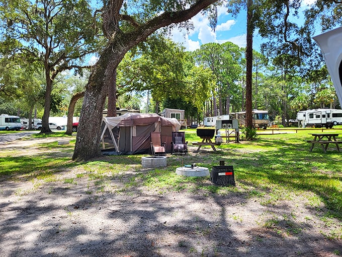 Camping under oak trees at Eleanor Oaks RV Park – where "roughing it" means you might have to share your Wi-Fi password with a squirrel.