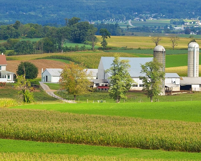 Pastoral perfection: This Amish farm showcases the agricultural expertise that has made Lancaster County synonymous with sustainable farming for centuries.