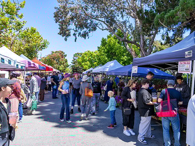 Carmel's farmers market—where the produce is so fresh, it was probably still growing this morning. Local flavor at its finest!