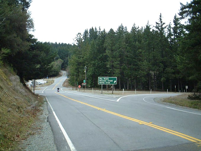 Where forest meets asphalt – a junction that reminds you that the best adventures often happen at the intersection of civilization and wilderness.