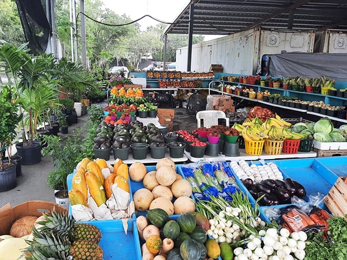 A produce department that makes grocery stores look like amateurs. Those eggplants didn't spend their lives in fluorescent lighting—they grew up with character and sunshine.