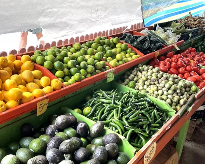 Nature's color palette on display. These fruits and vegetables didn't get the memo about Florida's reputation for processed food—they're gloriously, rebelliously fresh.