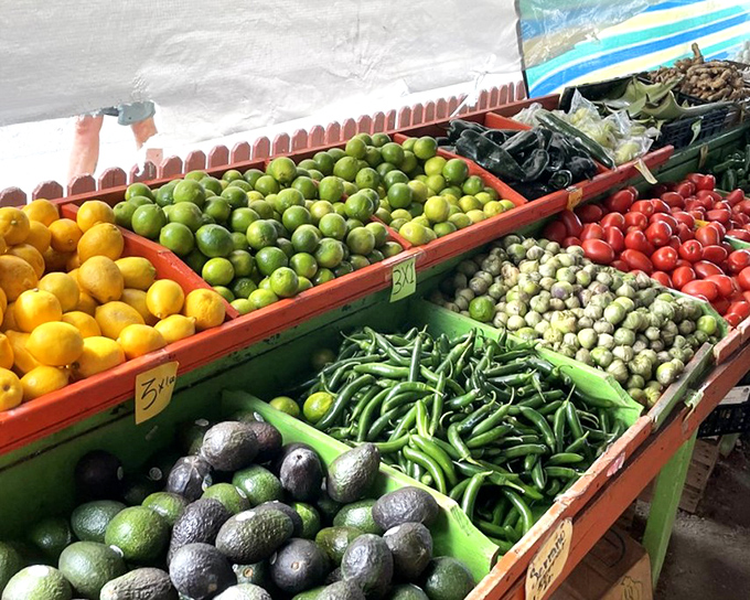 Nature's color palette on display. These fruits and vegetables didn't get the memo about Florida's reputation for processed food—they're gloriously, rebelliously fresh.