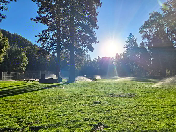 Morning light transforms Quincy's parks into postcard-worthy scenes where sprinklers create impromptu rainbows and the air smells like vacation.