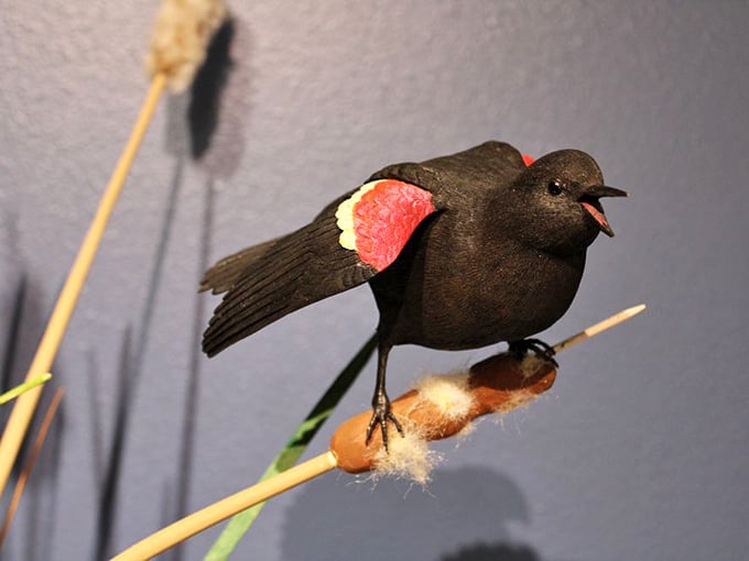 This meticulously crafted blackbird specimen showcases the museum's attention to detail – nature's perfection captured in still life.