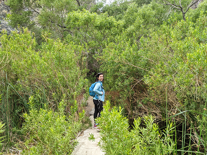 A hiker navigates the jungle-like path to Darwin Falls—proof that Death Valley contains multitudes, like your aunt's mysterious purse.