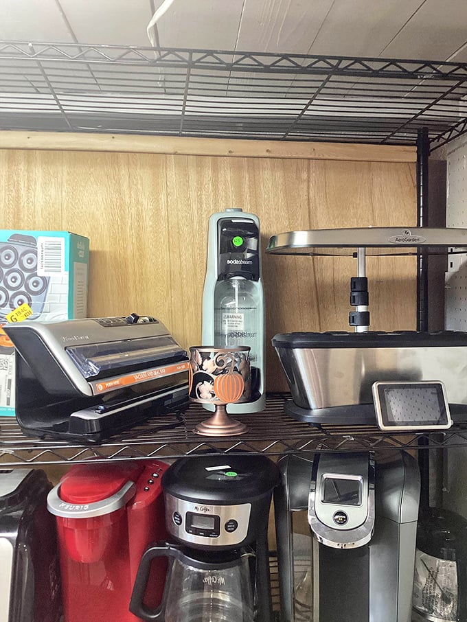 Kitchen gadget graveyard or culinary resurrection center? These shelves hold the SodaStream and FoodSaver dreams of yesterday, ready for tomorrow's kitchen adventures.