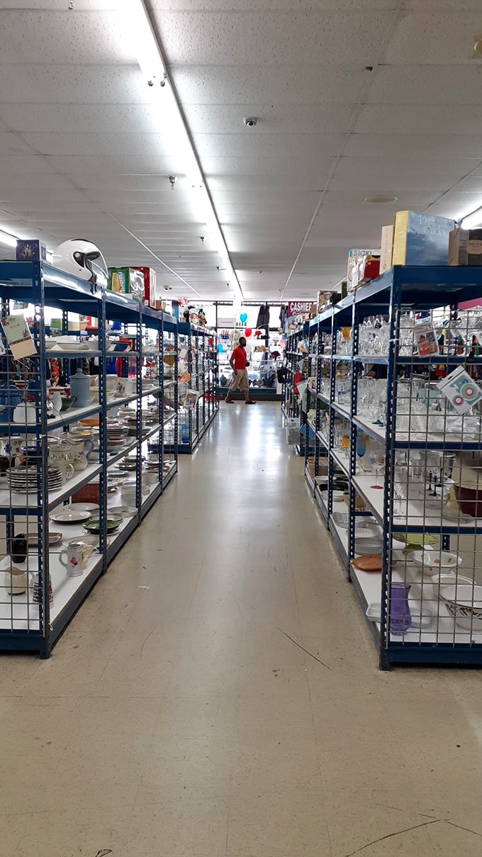 The dishware aisle—where your eclectic dinner party aesthetic comes together one mismatched serving platter at a time.