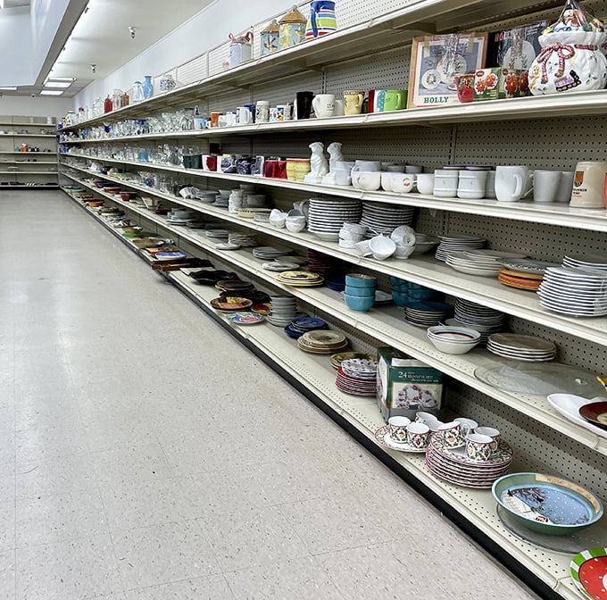 Dishes upon dishes – because somewhere in this magnificent array is the perfect replacement for the one your mother-in-law broke.