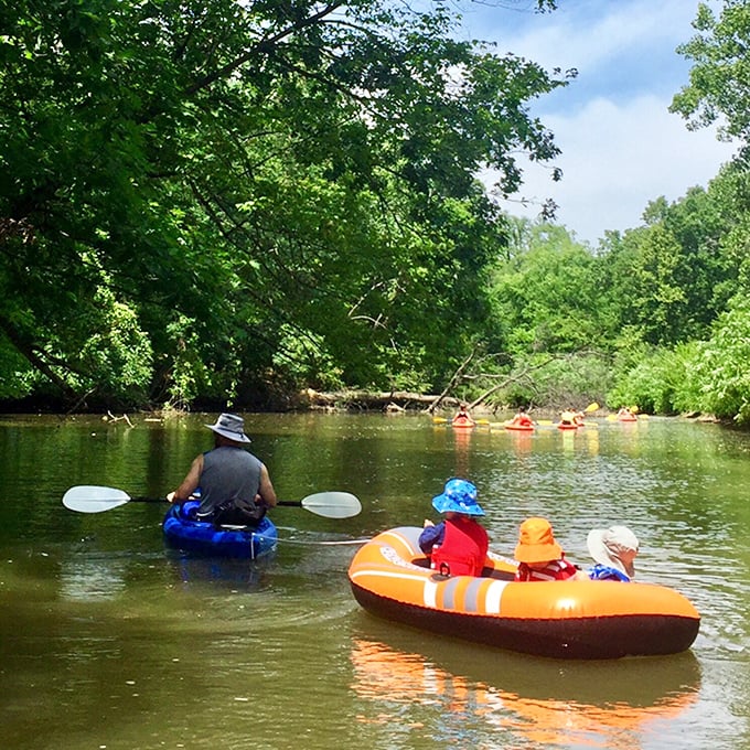 The River Raisin offers nature's perfect air conditioning—a lazy paddle through green corridors where time slows to match the current's pace.