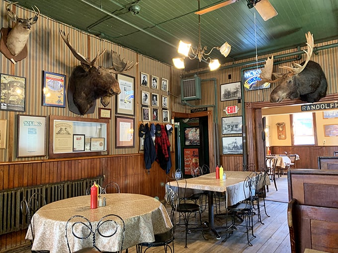Where taxidermy meets dining room – Randolph the moose has witnessed more first dates, family celebrations, and "I shouldn't have that third beer" moments than any therapist in Michigan. 
