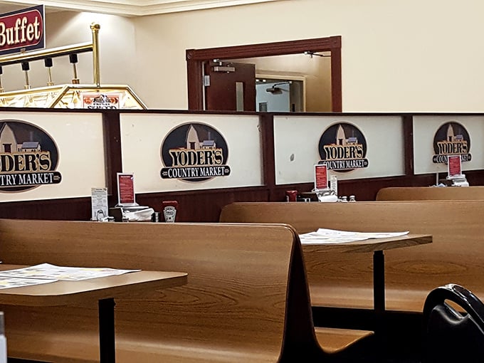 The dividers between dining sections aren't just practical – they create intimate dining spaces within the larger restaurant, a thoughtful touch.