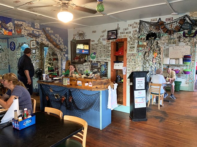 The counter where seafood dreams come true. Those fishing nets aren't just decoration—they're a promise of what's waiting on your plate.