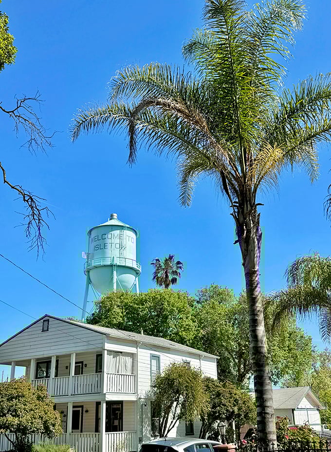 Isleton's iconic water tower rises above palm trees and historic homes, announcing to visitors they've arrived somewhere special in California's heartland.