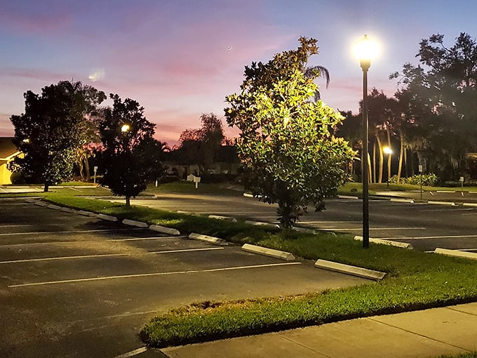 Even parking lots look magical at sunset in Florida – nature's light show happens daily, no admission required.
