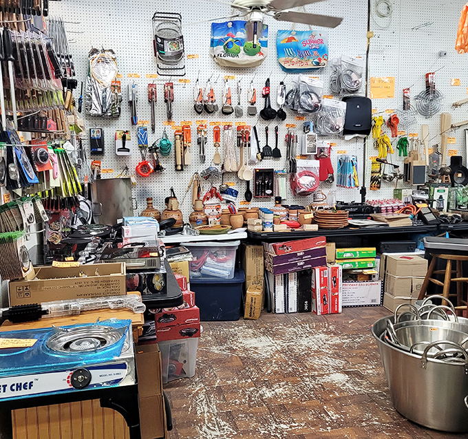 Kitchen gadget wonderland where cooking enthusiasts find tools they didn't know they needed. That pasta maker might change your Sunday dinner game forever!