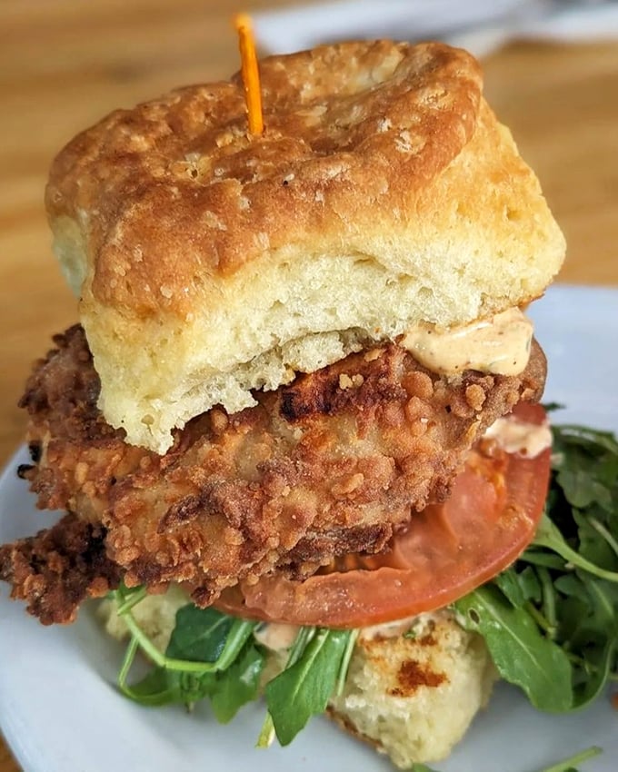 This isn't just a chicken biscuit—it's architectural perfection with crispy fried chicken, fresh greens, and a golden biscuit that defies gravity.