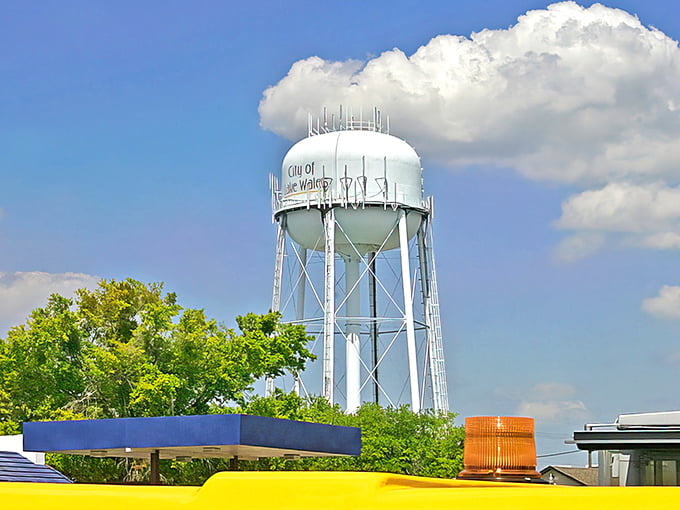 The Lake Wales water tower stands like a sentinel against the Florida sky, a landmark that says "you're home" to returning residents.