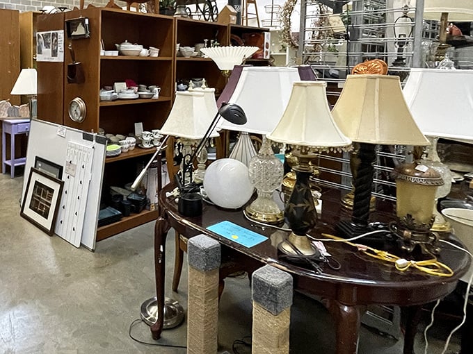 Lamp shopping here is illuminating in more ways than one. These shades have lit up conversations and late-night reading sessions for decades.