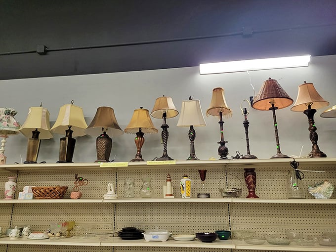 The lamp section illuminates possibilities—from stately brass to quirky ceramic, each one waiting to brighten someone's reading nook or cast dramatic shadows. 