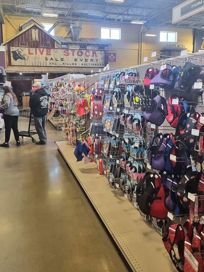 The "Live Stock Sale" sign looms above modern merchandise – a perfect metaphor for Hartville's blend of rural tradition and contemporary retail therapy.