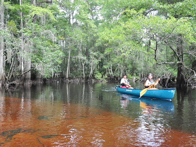 Paddlers explore the tea-colored waters of Little Pee Dee River. Nature's serenity awaits just minutes from downtown—no Instagram filter needed.