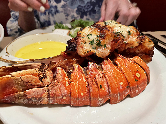A lobster tail that's been broiled to such perfection it practically demands its own Instagram account and a standing ovation.