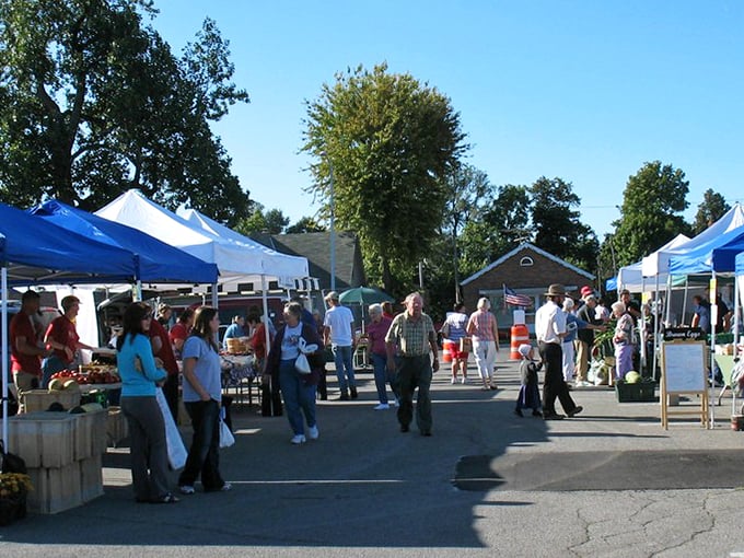 Bellefontaine's farmers market isn't just about produce—it's a weekly social event where recipes are swapped as frequently as dollar bills.
