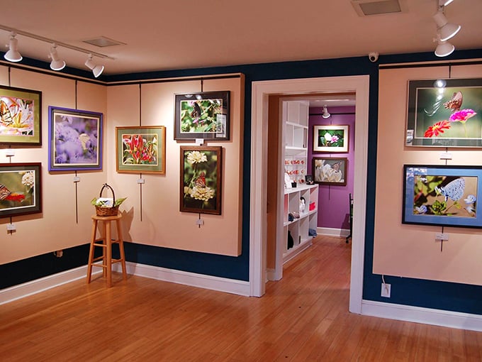 Margaret Lane Gallery's colorful nature photography transforms walls into windows to the natural world.