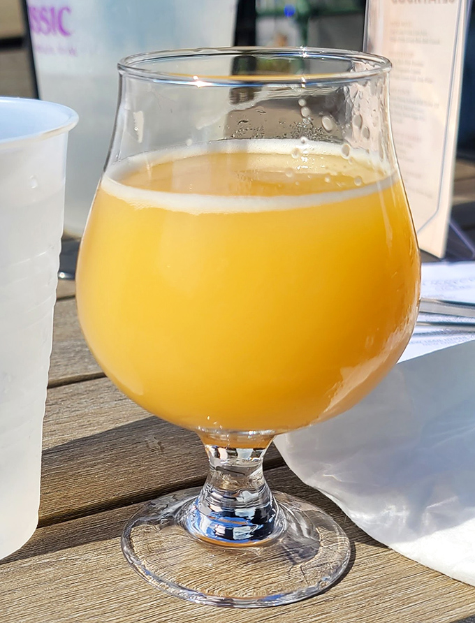 Sunshine in a glass. This mimosa isn't just a brunch cocktail—it's liquid optimism with bubbles of possibility.