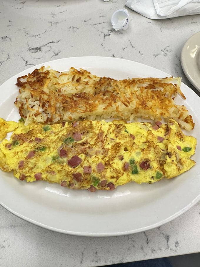 An omelet that knows exactly what it's doing, paired with hash browns that achieved the perfect crisp-to-tender ratio. Breakfast engineering at its finest.