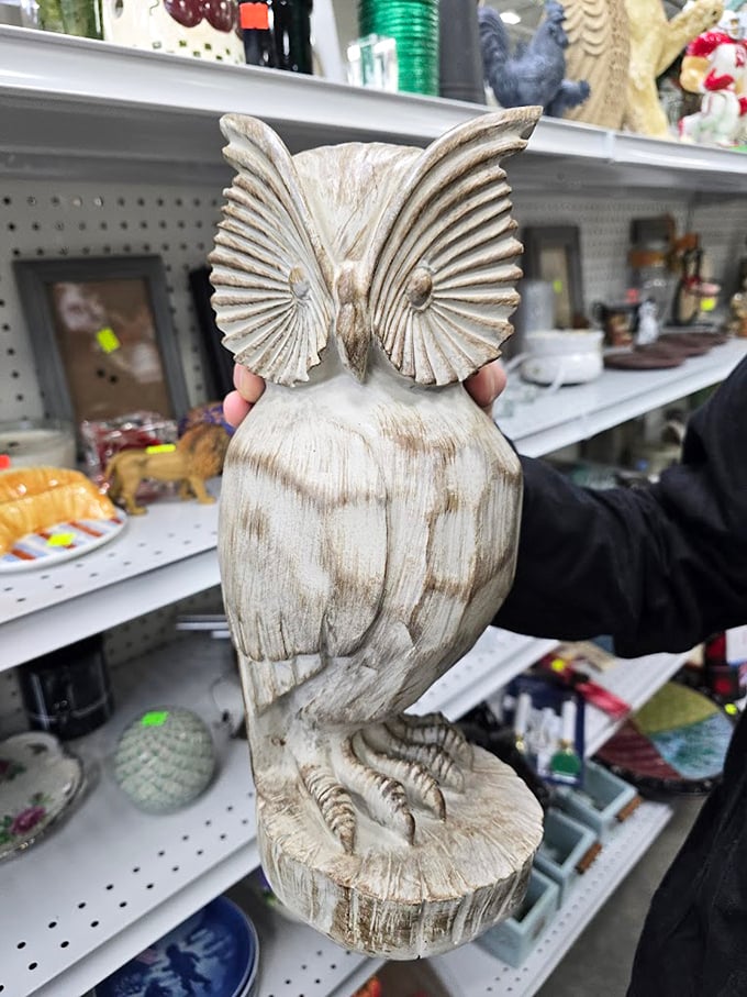 This wise owl has seen things, and now it's ready to judge your decorating choices silently.