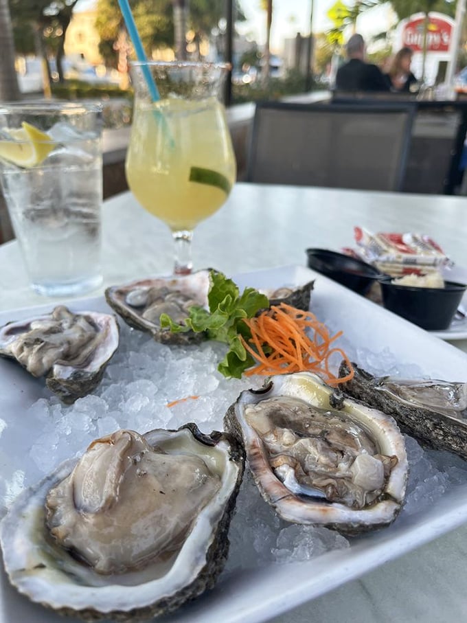 Fresh oysters on ice with a margarita nearby—this isn't just appetizer hour, it's Florida's version of living your best life.