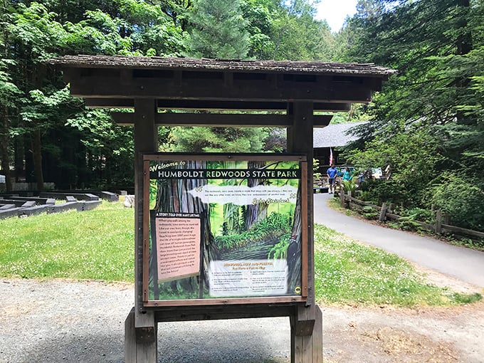 The gateway to wonder. This unassuming sign marks the threshold between ordinary life and extraordinary natural majesty.